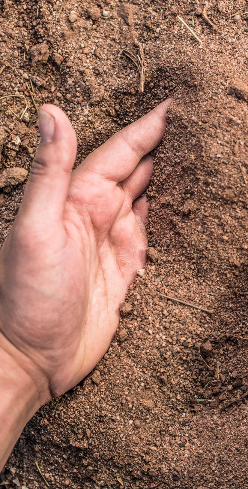 Mexican Fields, The Best Lands For Agricultural Production – GreenPoint