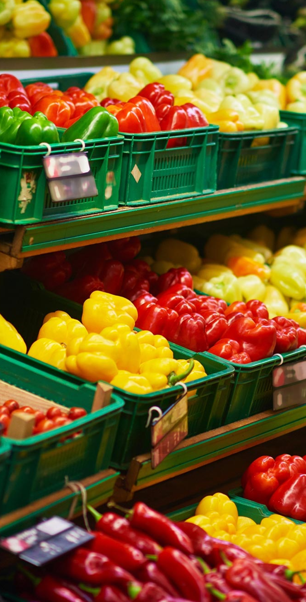 How do grocery stores have fresh fruit all year round? – GreenPoint