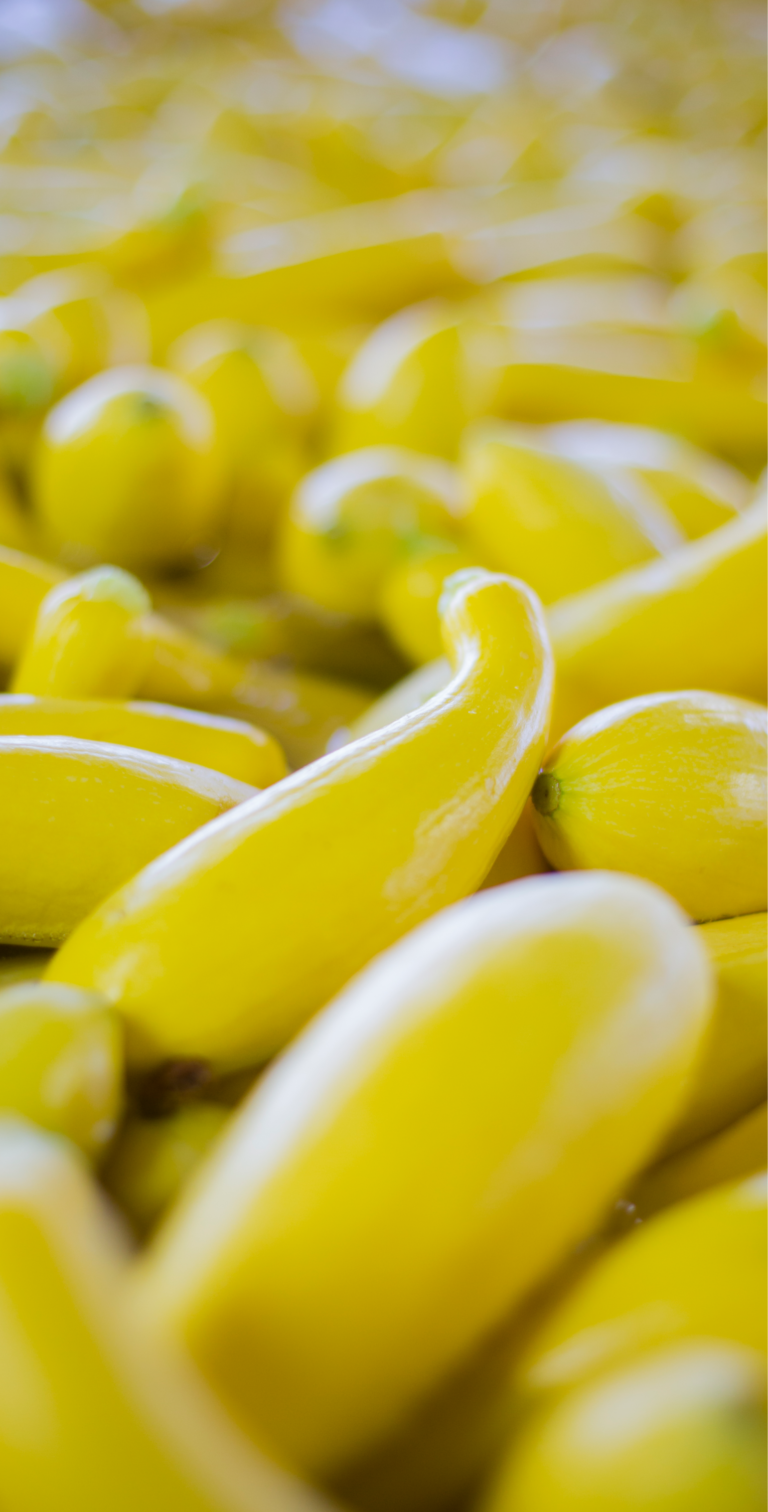 Learn how to preserve good-quality fruits and vegetables – GreenPoint