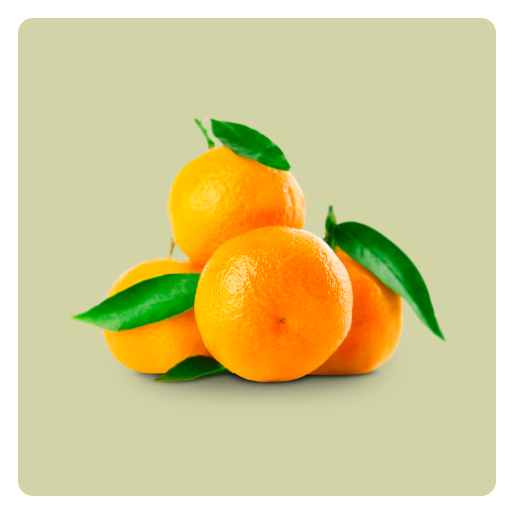 Production Chart | GreenPoint